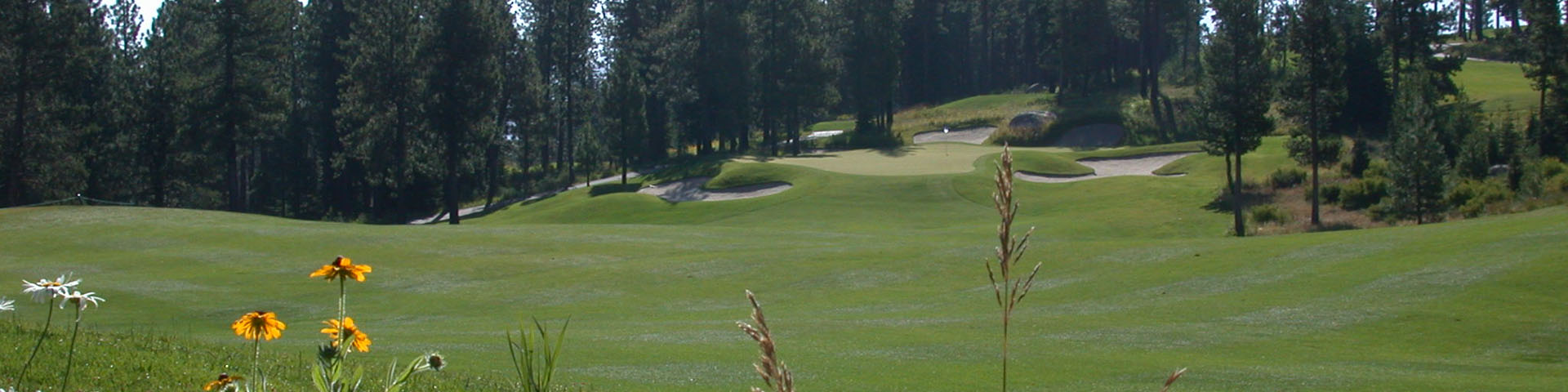Home - Coyote Moon Golf Course